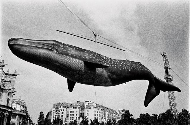 Daido Moriyama: His Presence Appears to be the Ultimate Fantasy for ...